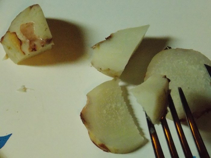 Greenbriar (Smilax) – Wild Edible Plants – Greatoutdoordinary