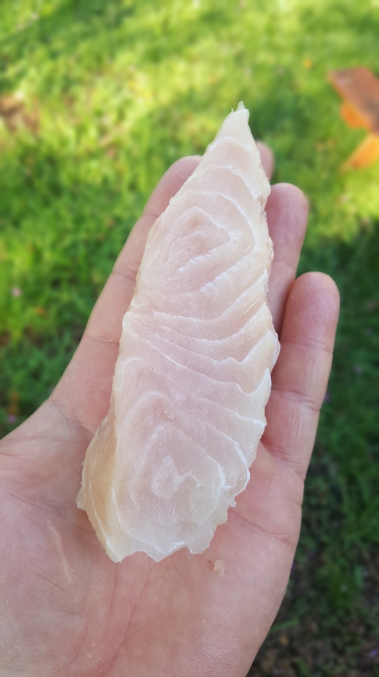 Grilled Alligator Garfish Recipe – Greatoutdoordinary