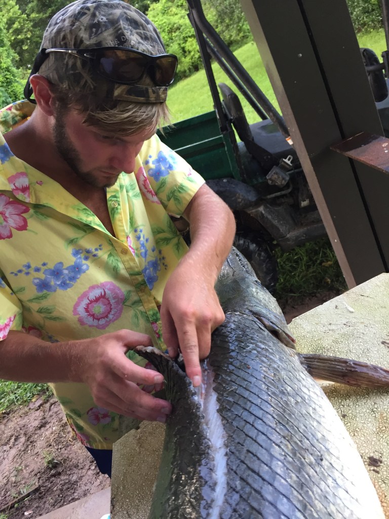 How to Clean an Alligator Gar Fish – Greatoutdoordinary