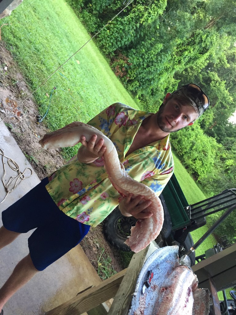 How to Clean an Alligator Gar Fish – Greatoutdoordinary